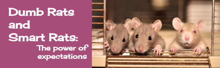 Dumb Rats and Smart Rats: The power of expectations – The Other Math