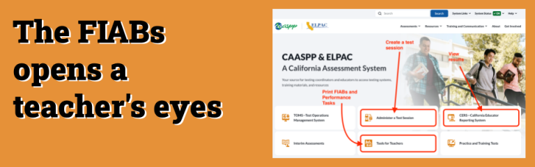 The FIABs opens a teacher’s eyes – The Other Math